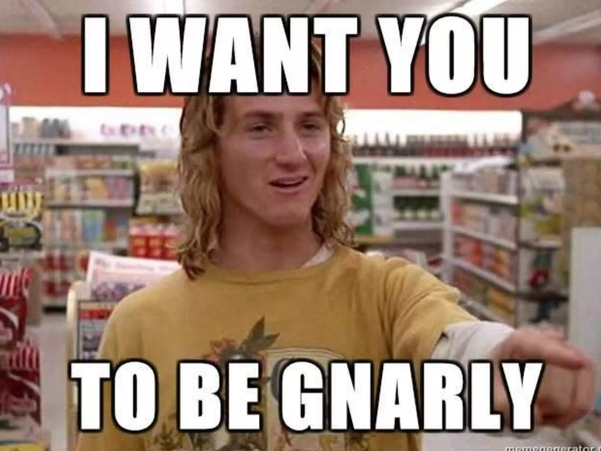 Vans Presentation | PPTX