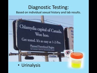 Chlamydia Class Presentation | PPTX