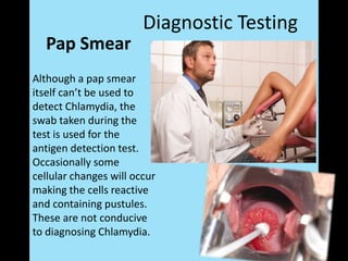 Chlamydia Class Presentation | PPTX