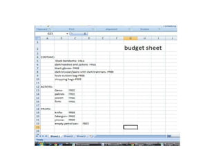 budget sheet | PPTX