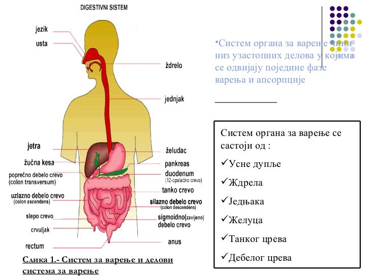 Систем за варење
