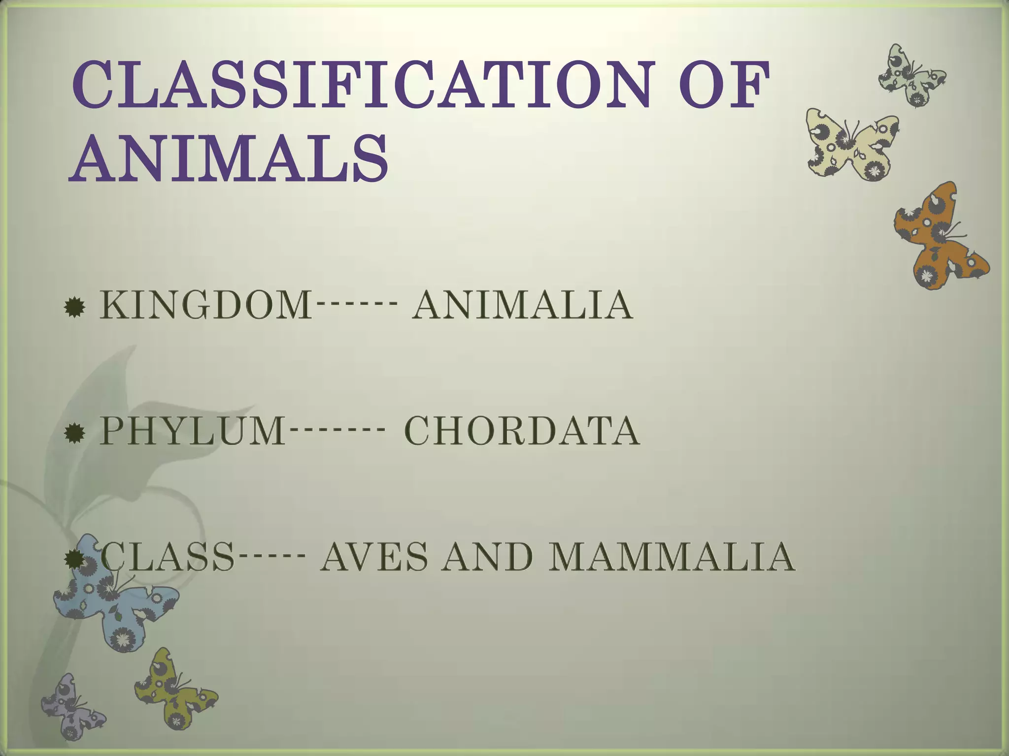 aves and mammals | PPTX