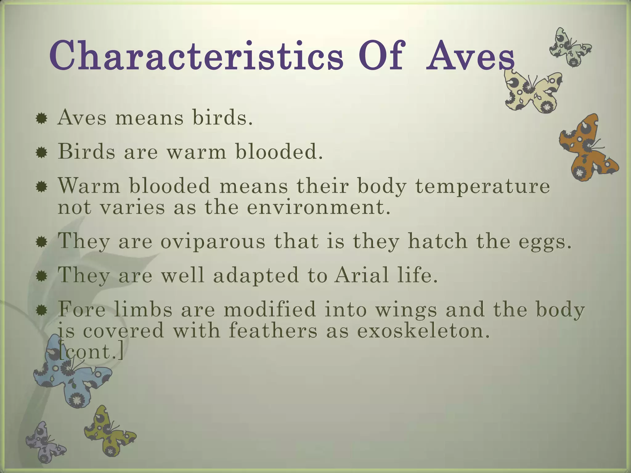 aves and mammals | PPTX