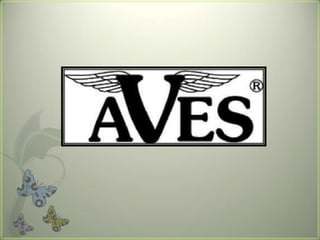 aves and mammals | PPTX