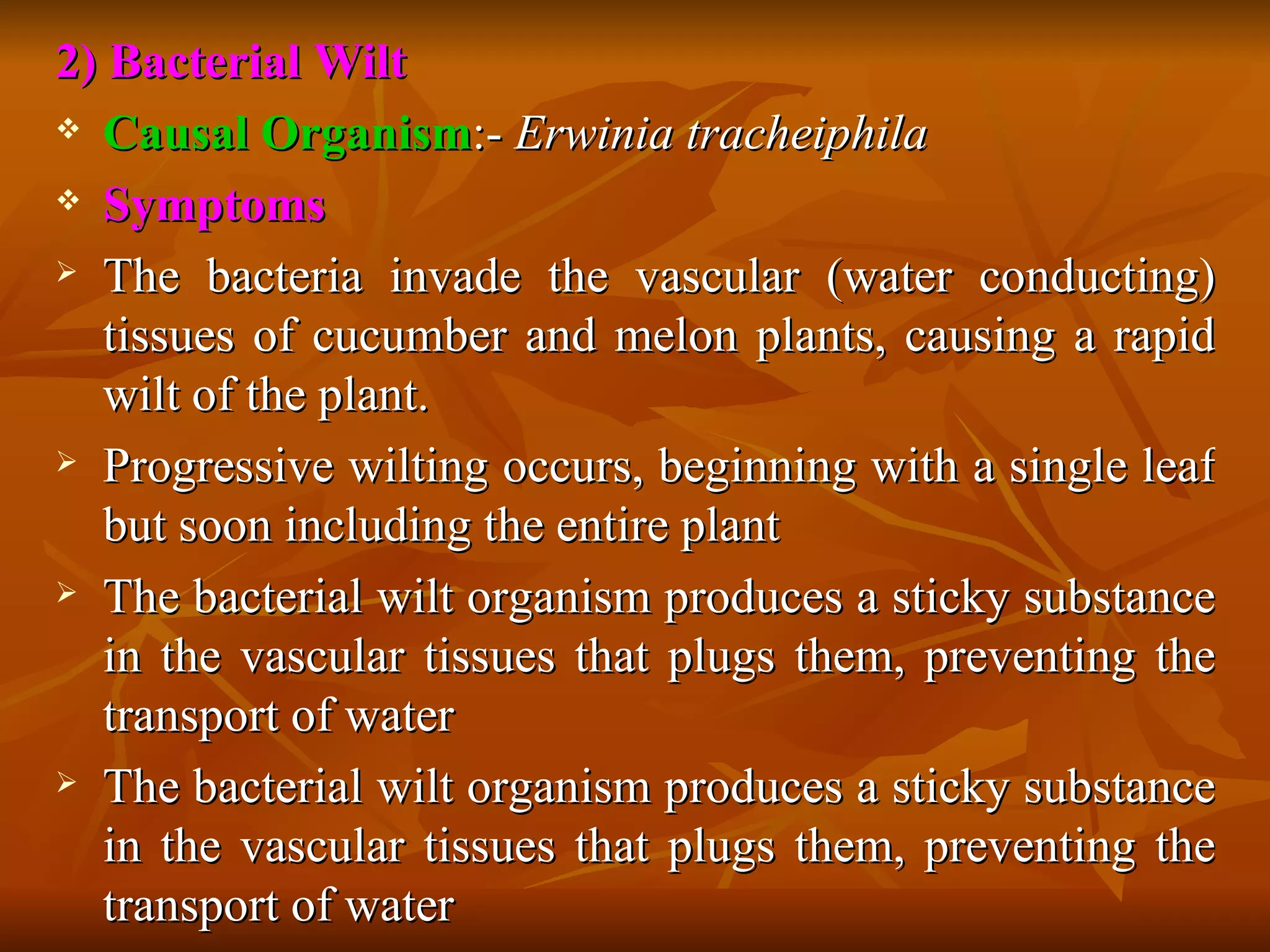 Diseases Of Cucumber | PPT