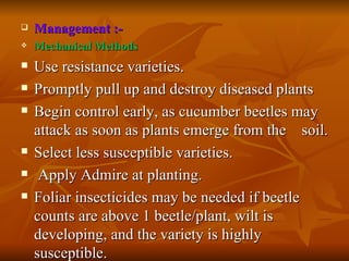 Diseases Of Cucumber | PPT