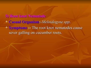 Diseases Of Cucumber | PPT