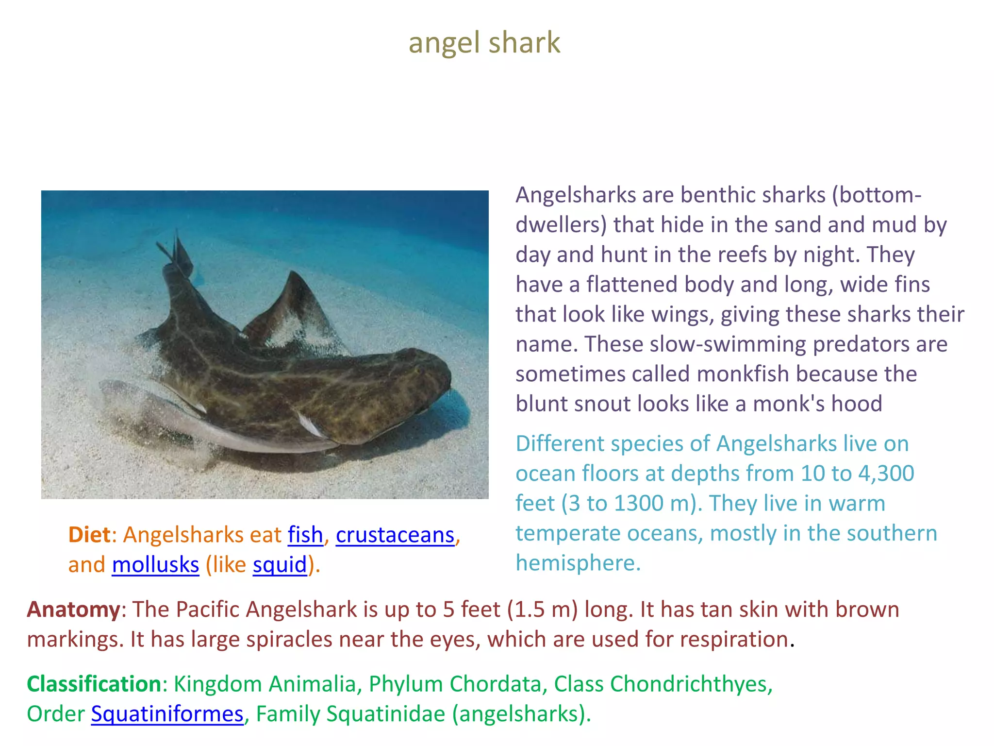 Presentation2 | PPTX | Fish and Aquariums | Pets