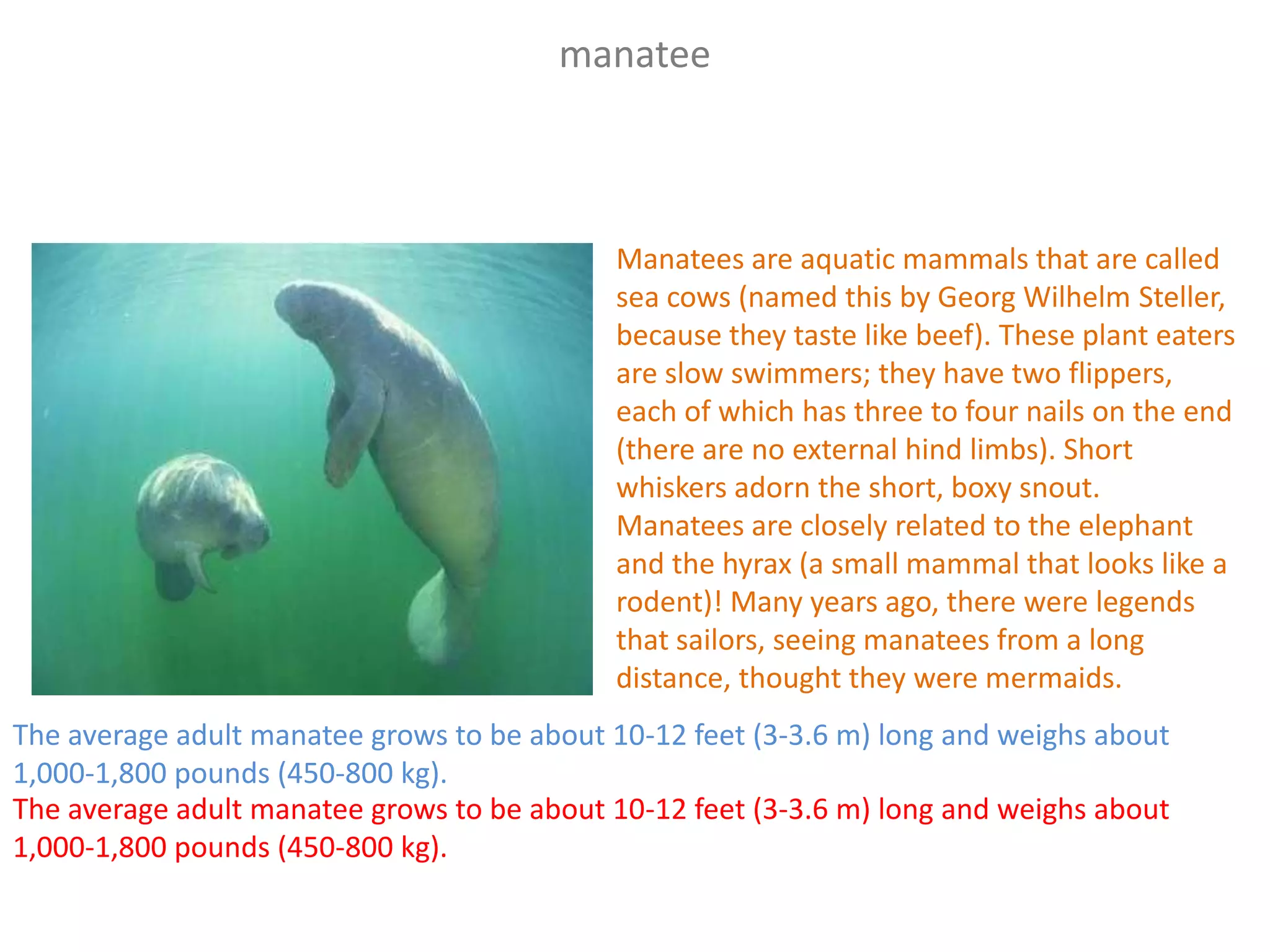 Presentation2 | PPTX | Fish and Aquariums | Pets