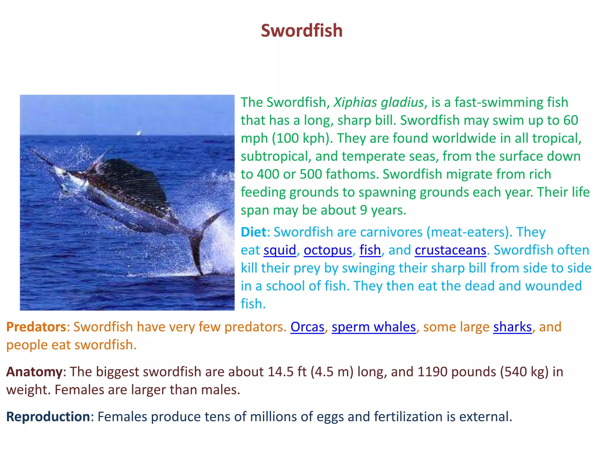 Presentation2 | PPTX | Fish and Aquariums | Pets