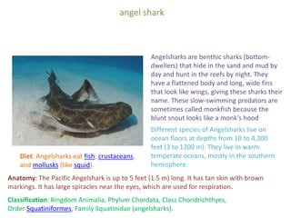 Presentation2 | PPTX | Fish and Aquariums | Pets