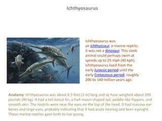 Presentation2 | PPTX | Fish and Aquariums | Pets