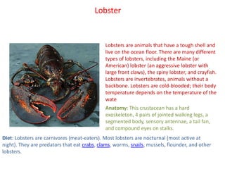 Presentation2 | PPTX | Fish and Aquariums | Pets