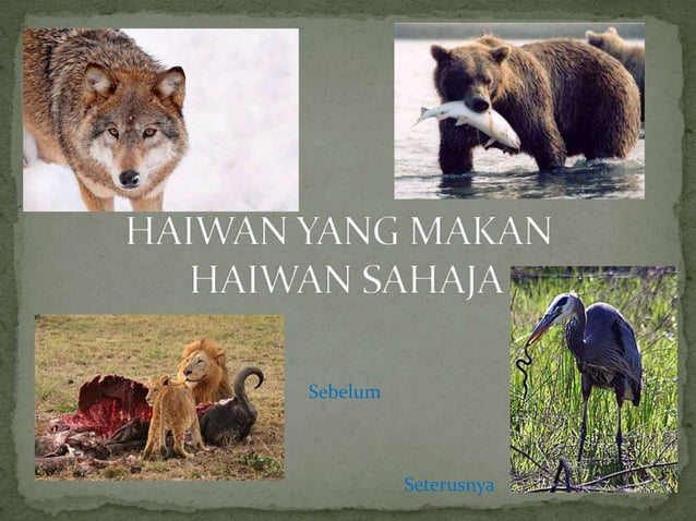 PENGELASAN HAIWAN MENGIKUT JENIS MAKANAN YANG DIMAKAN | PPTX