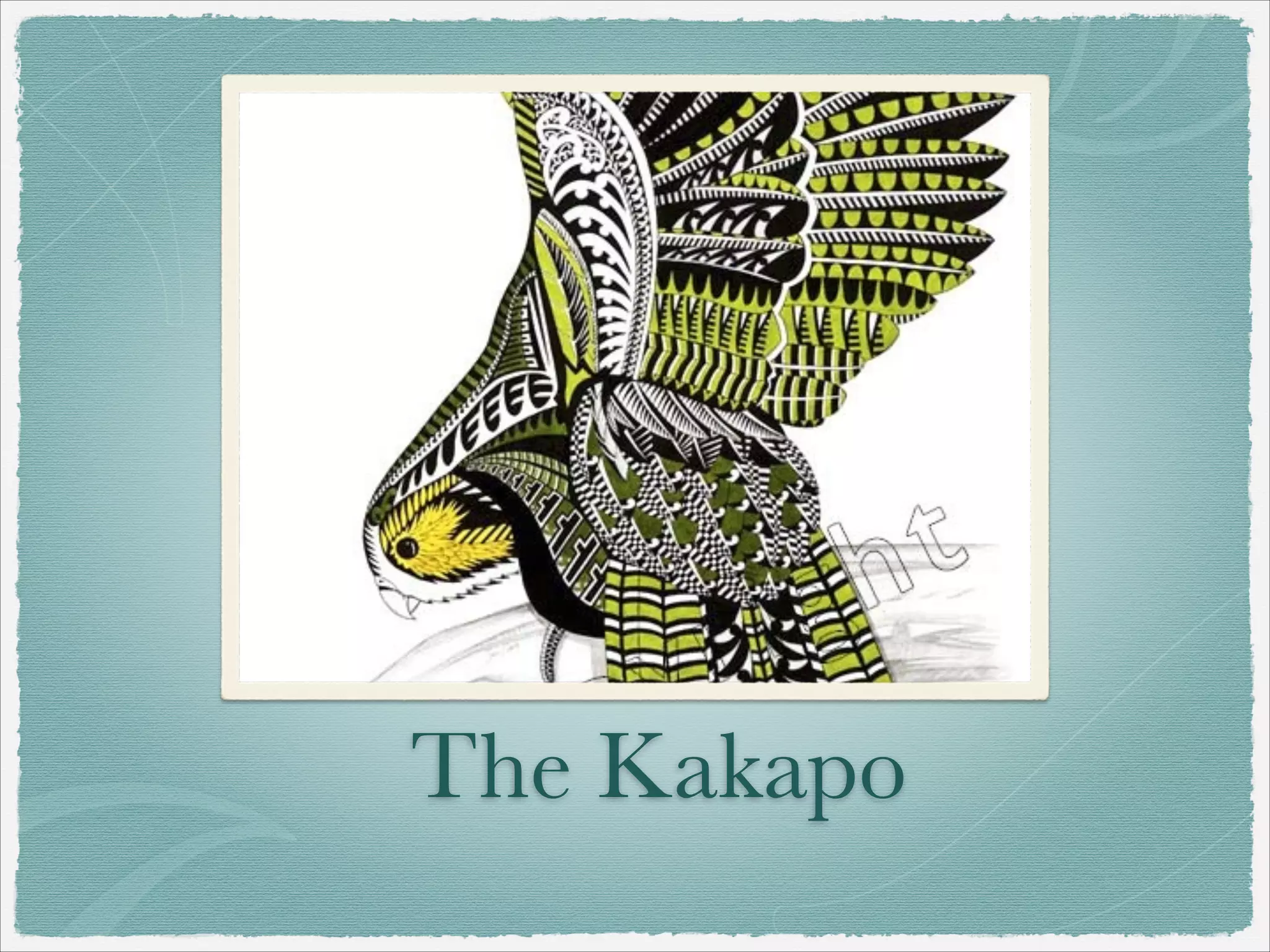 Kakapo | PDF