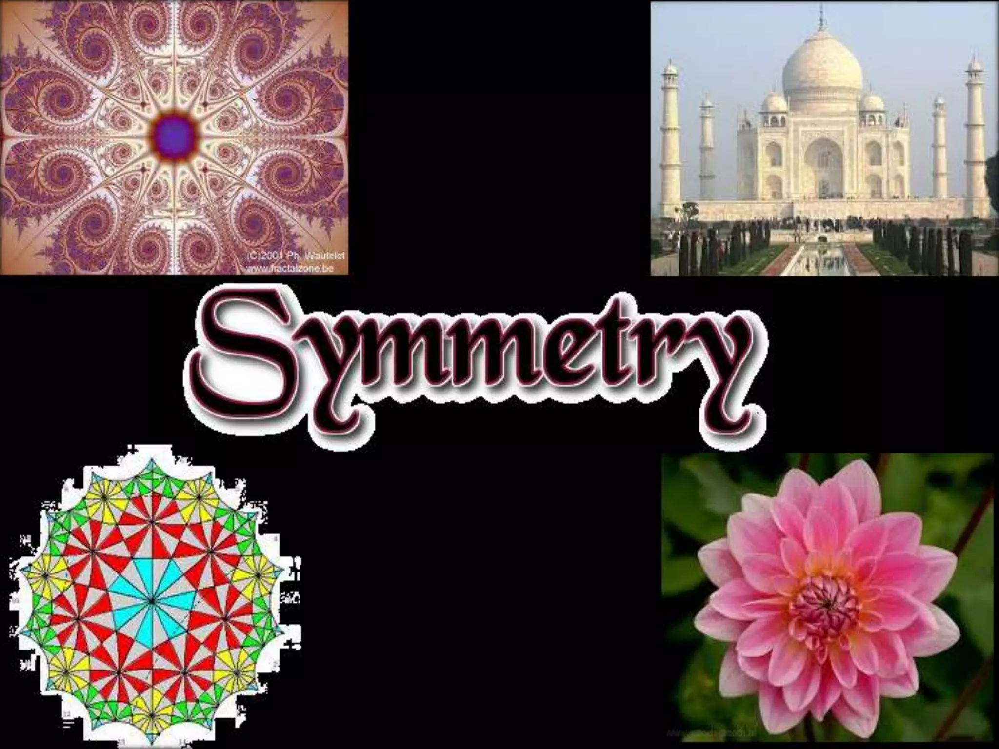Symmetry - Rotational and Reflection | PPTX | Physics | Science