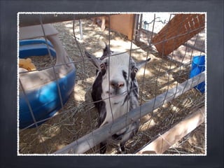 Presentation 2 | PPT