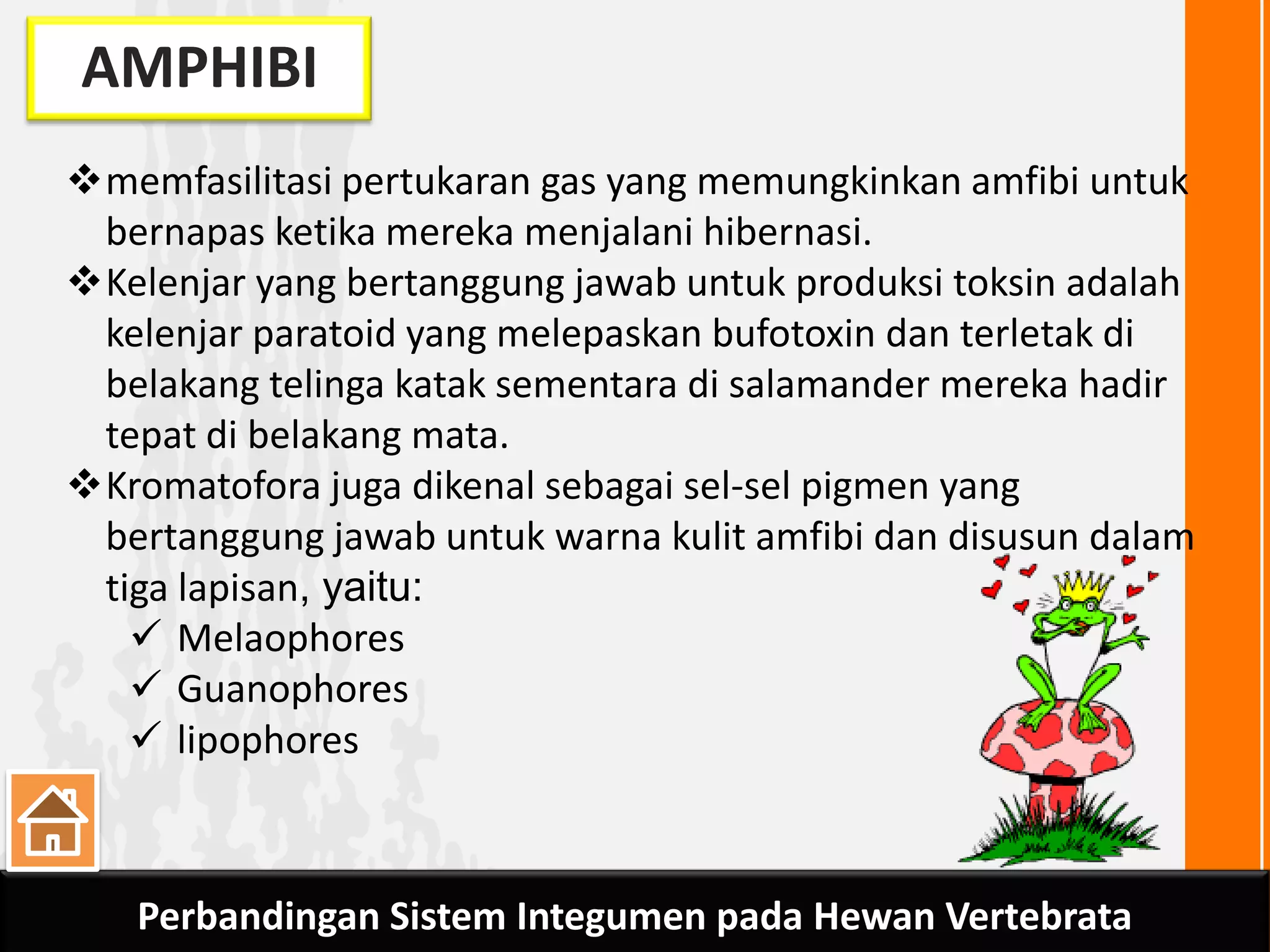 Sistem Integumen Vertebrata | PPTX