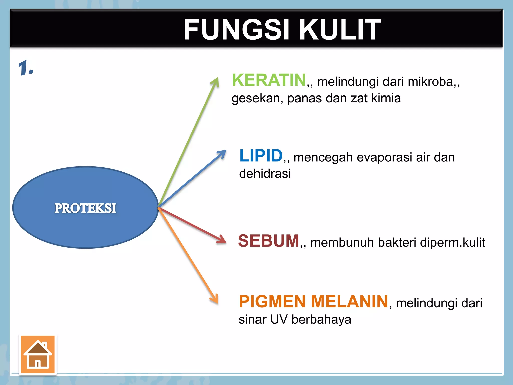 Sistem Integumen Vertebrata Ppt 