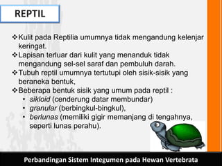Sistem Integumen Vertebrata | PPTX