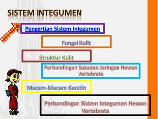 Sistem Integumen Vertebrata | PPTX