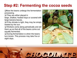 chocolate | PPTX