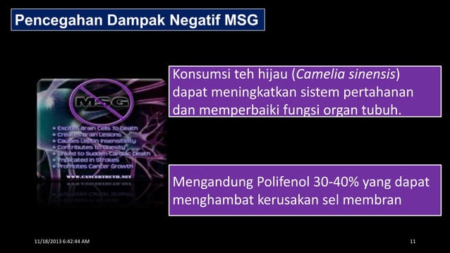 Monosodium Glutamat (MSG) | PPTX