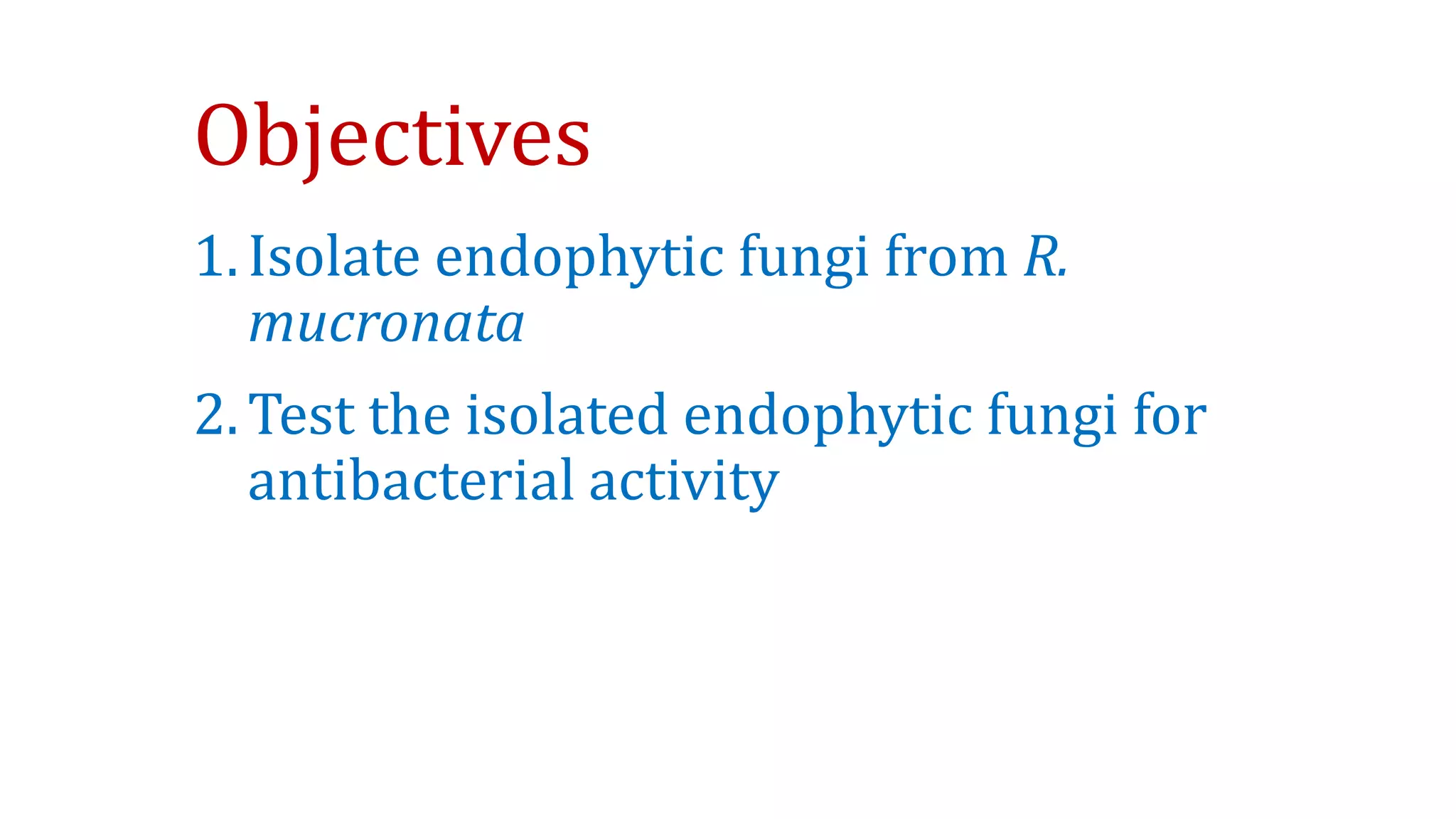 Antibacterial Activity of Endophytic fungi isolated from Rhizophora ...