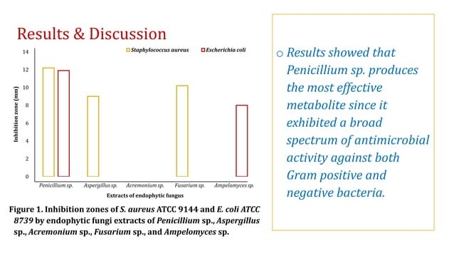 Antibacterial Activity of Endophytic fungi isolated from Rhizophora ...