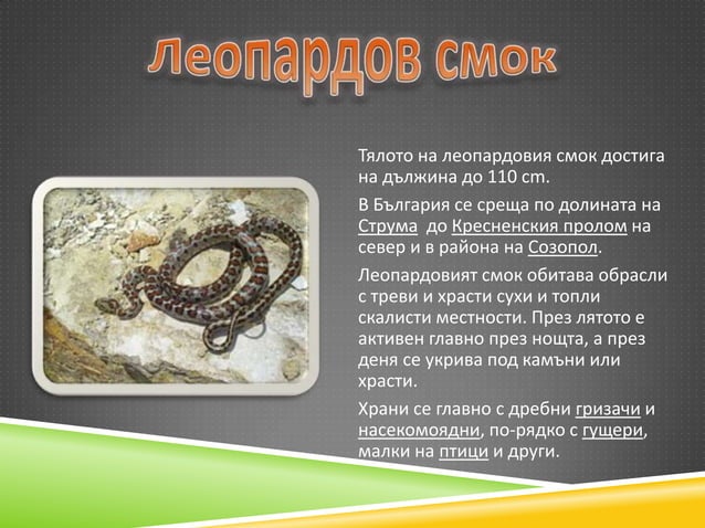Защитени видове животни и растения Pptx