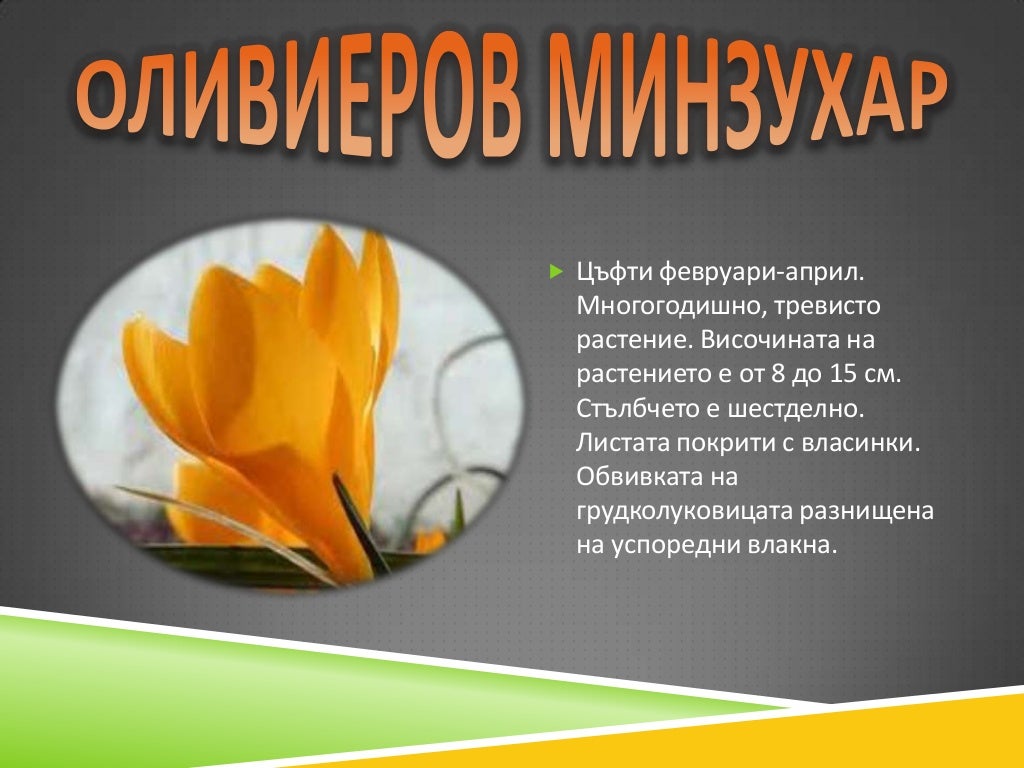 Защитени видове животни и растения