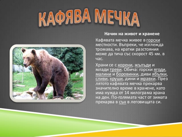Защитени видове животни и растения
