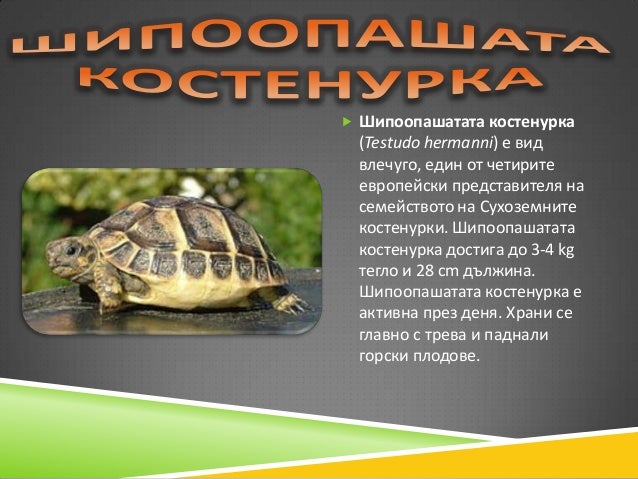 Защитени видове животни и растения