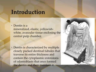 DENTIN | PPTX