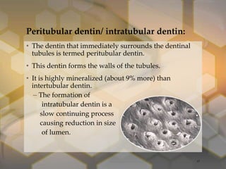 Intratubular Dentin