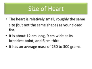 Anatomy of Heart | PPT