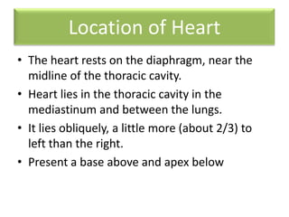 Anatomy of Heart | PPTX