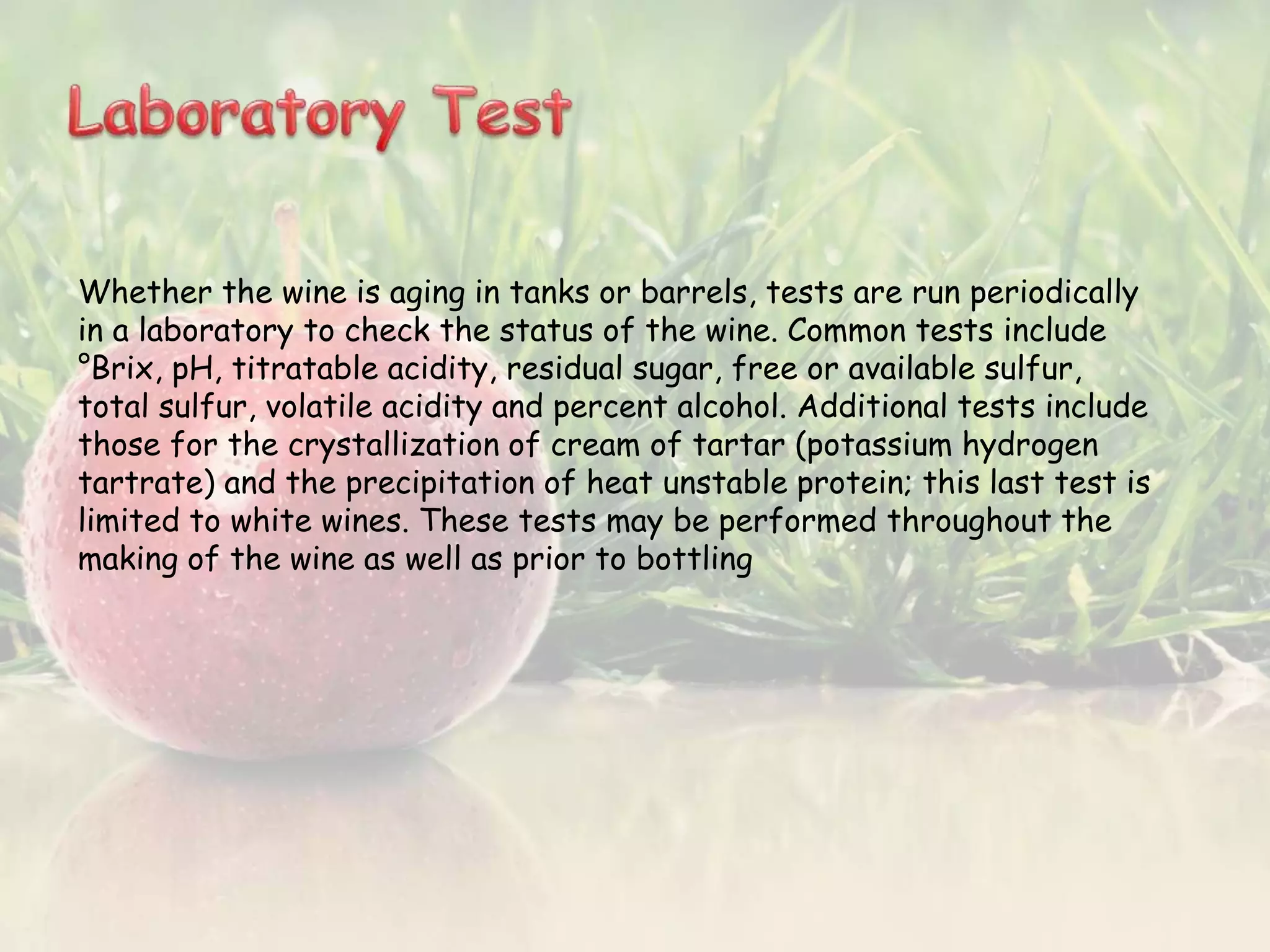 WINE MAKING | PPTX