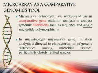 DNA microarray | PPTX