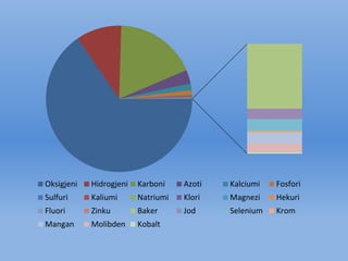 ELEMENTET KIMIKE NE ORGANIZEM | PPSX