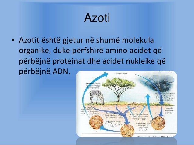 ELEMENTET KIMIKE NE ORGANIZEM