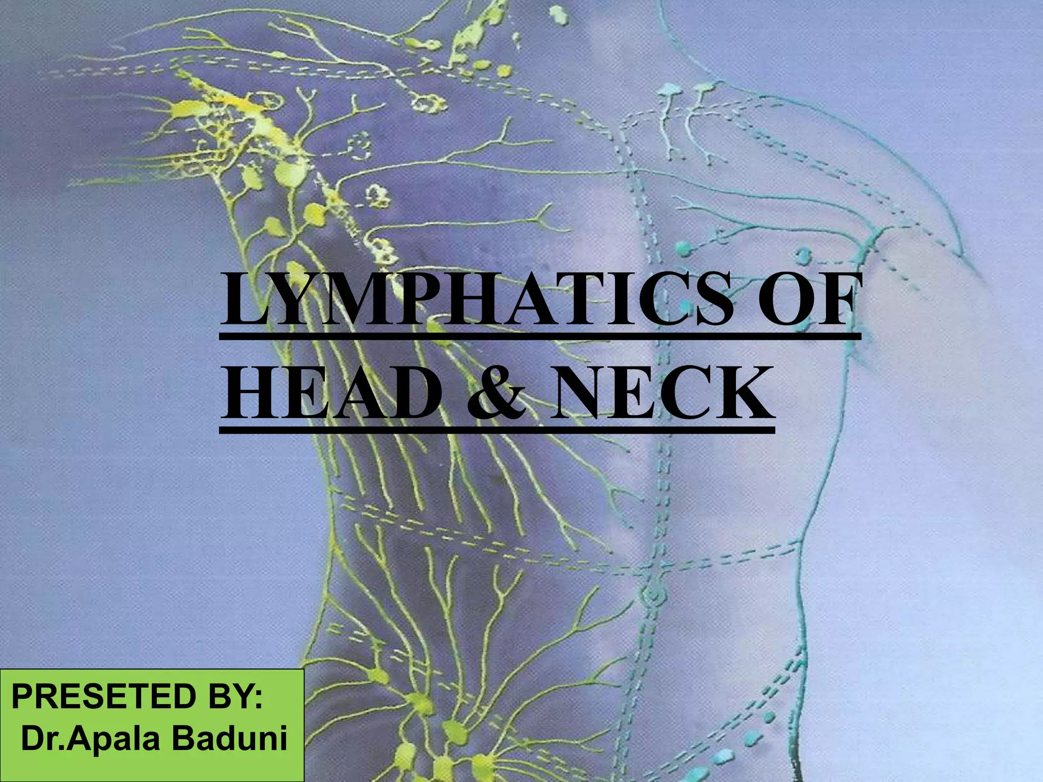 LYMPHATICS HEAD AND NECK | PPTX
