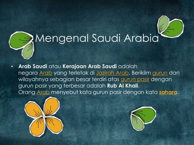 Ips negara maju dan negara berkembang Arab Saudi | PPTX