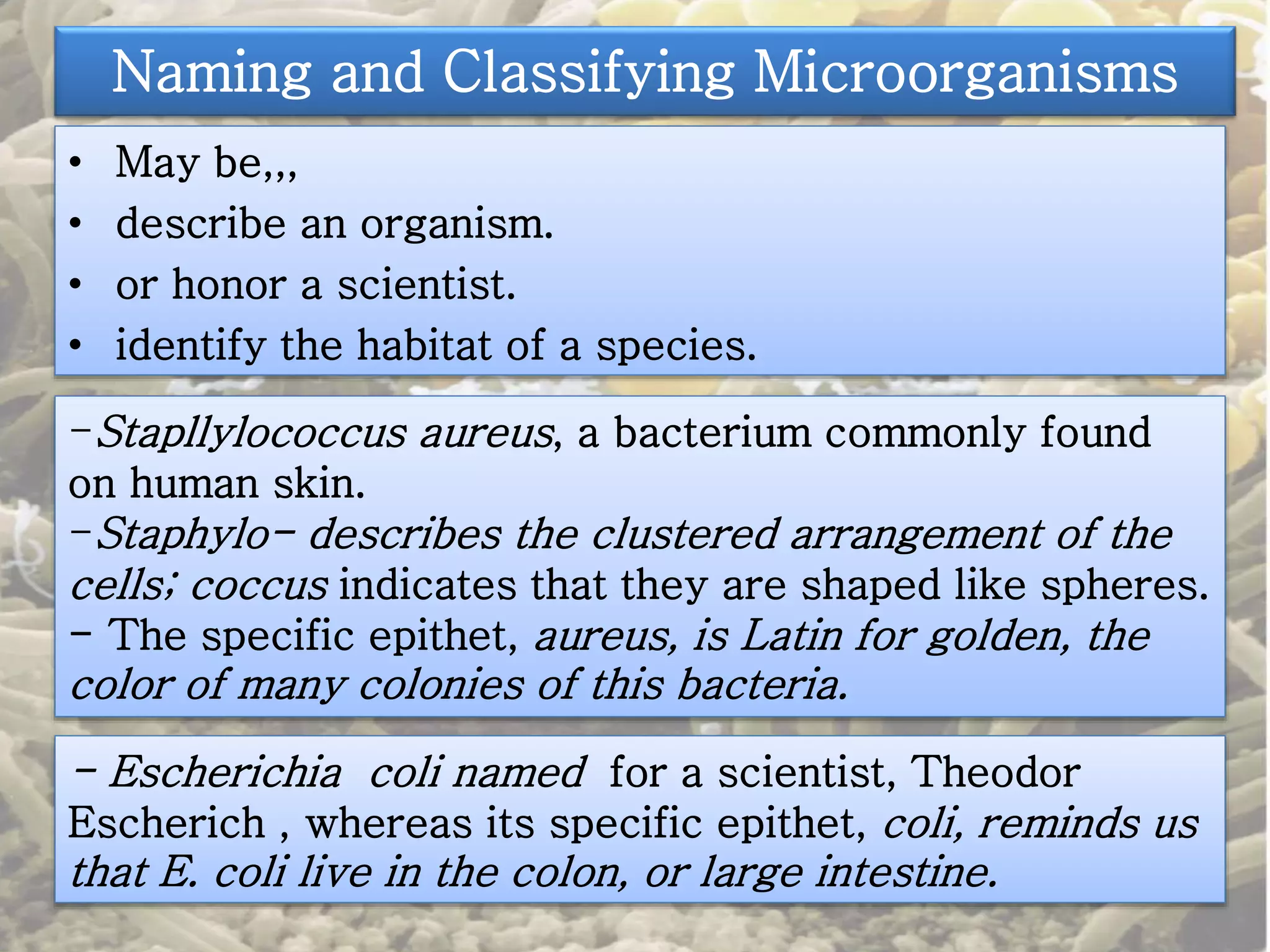 Presentation2 | PPTX