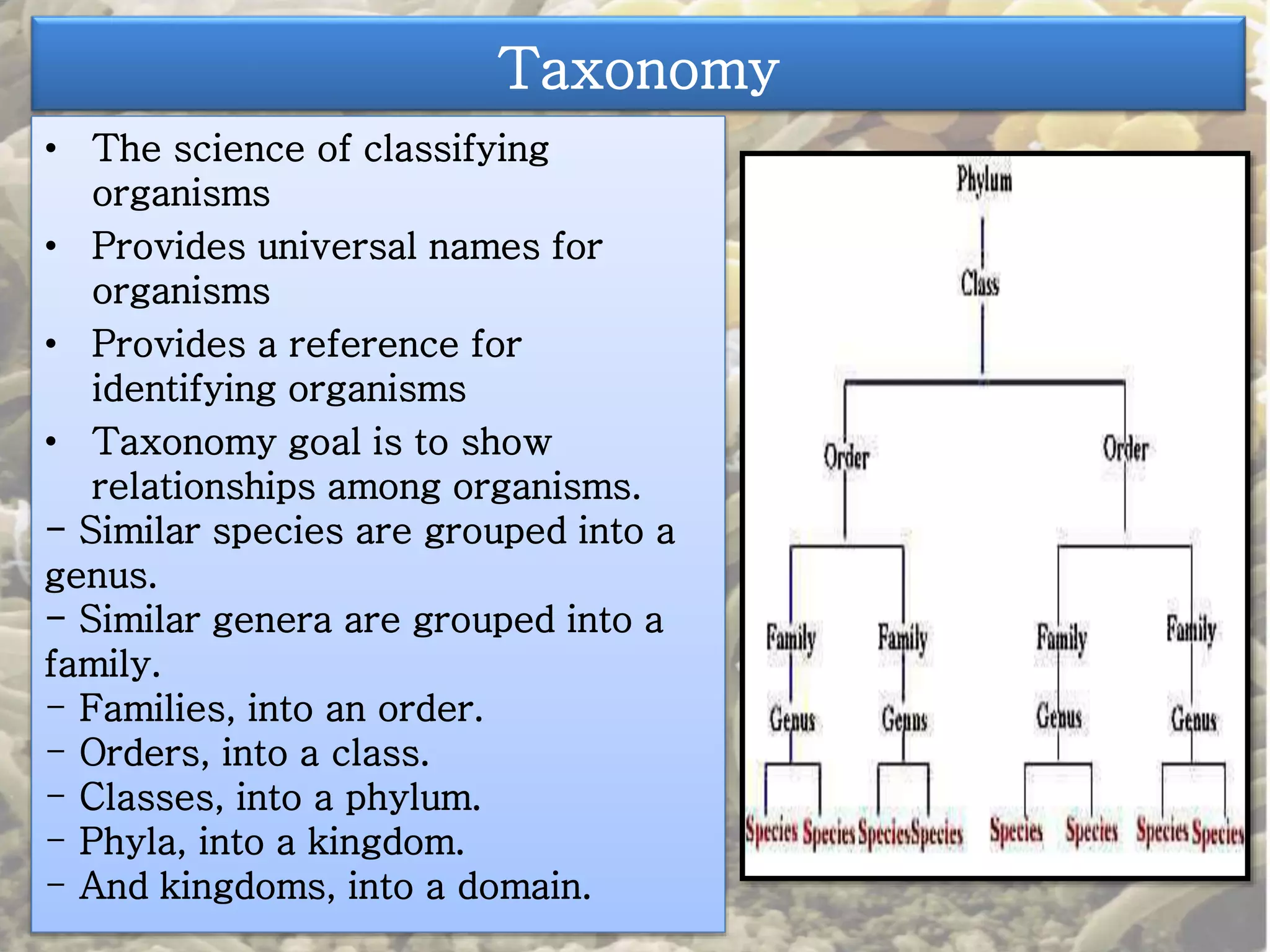 Presentation2 | PPTX