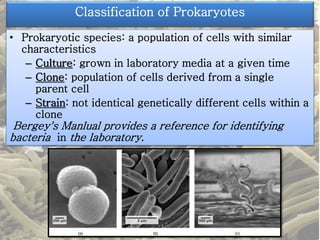 Presentation2 | PPTX