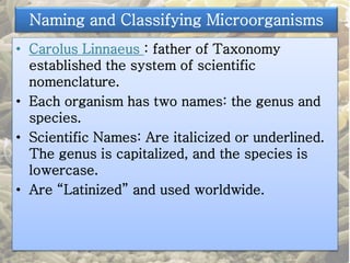 Presentation2 | PPTX