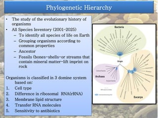 Presentation2 | PPTX