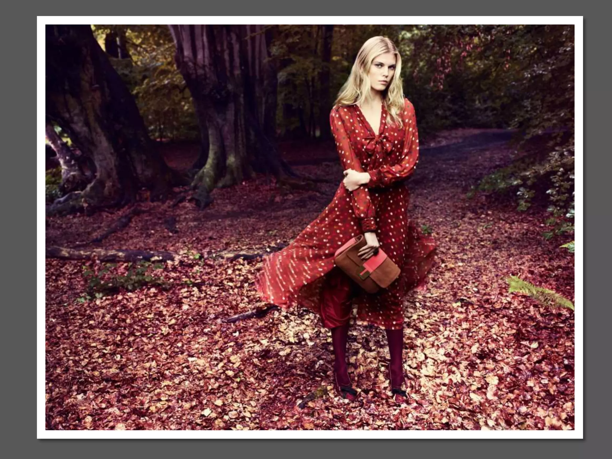 Olga Valeska | PPTX | Photography | Arts and Crafts