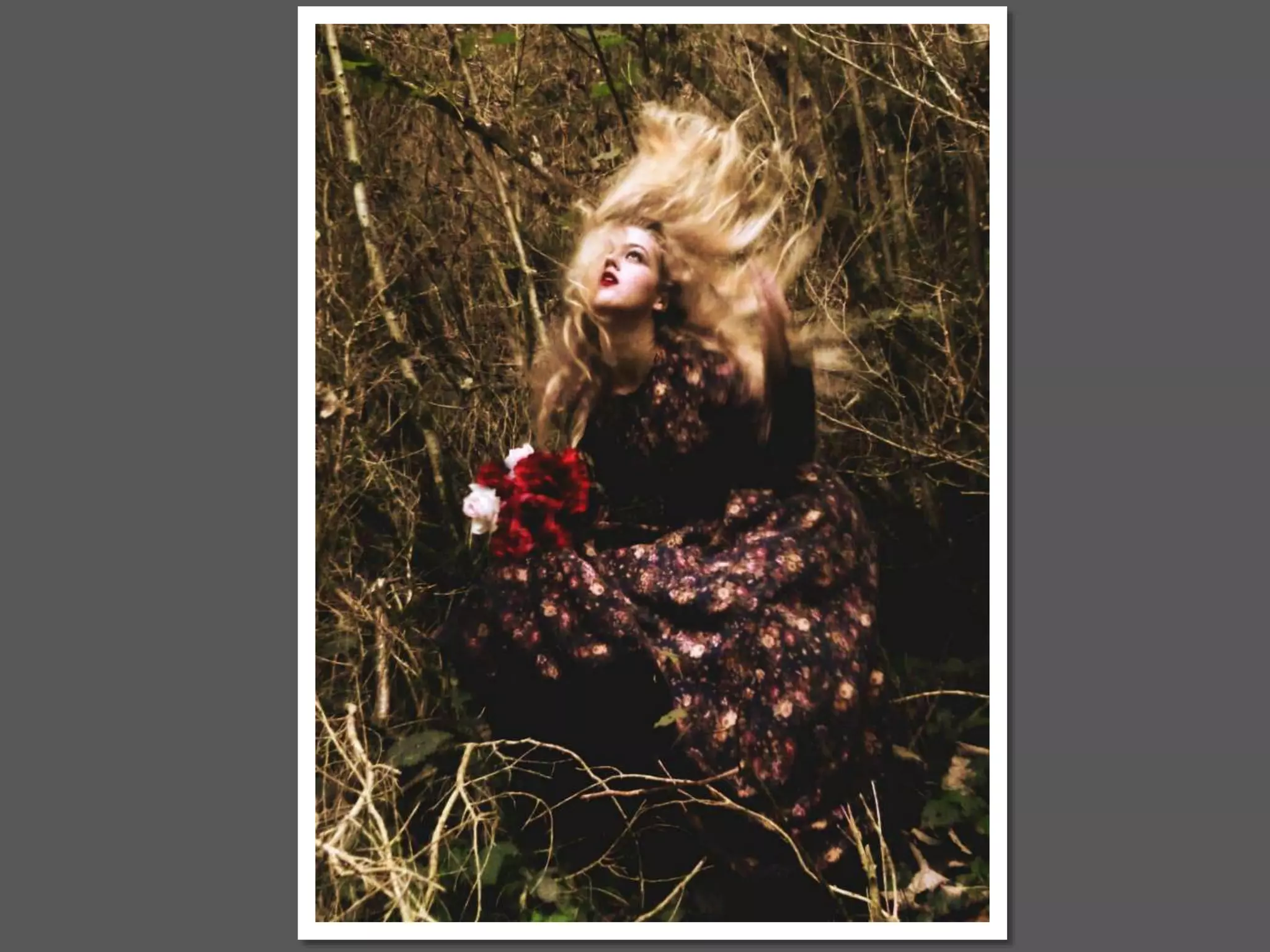 Olga Valeska | PPTX | Photography | Arts and Crafts